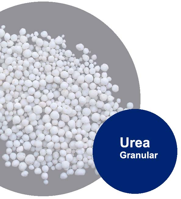 Differences between granular urea - PETRO PARS ARGHAVAN